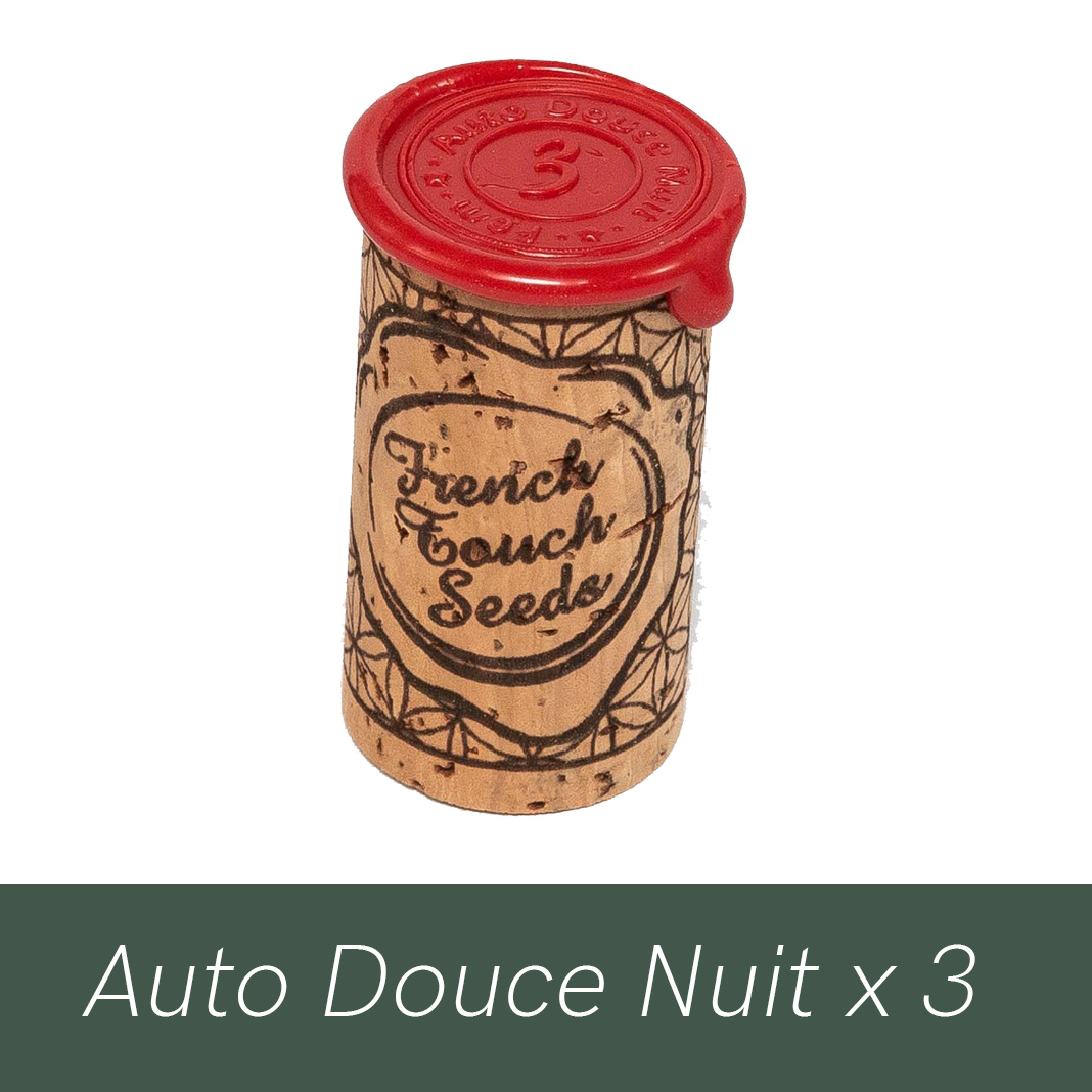 Graine Auto Douce Nuit - French Touch Seeds - Weecl Pro - Grossiste ... Graine Auto Douce Nuit - French Touch Seeds - Weecl Pro - Grossiste ...
